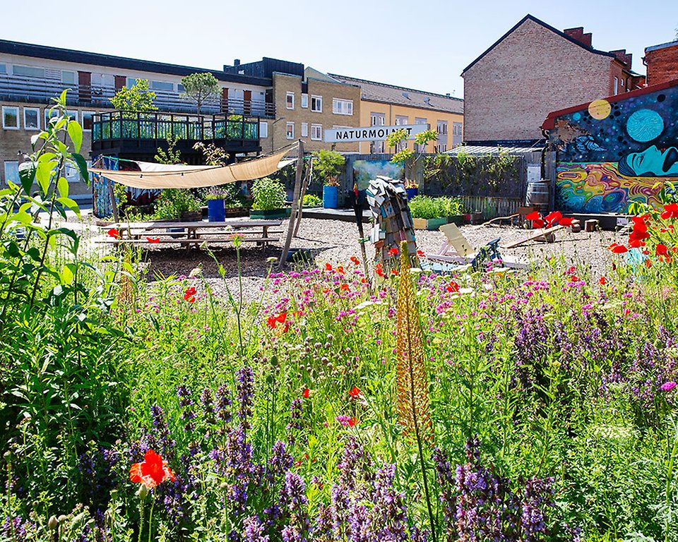 Naturmolnet, finalist Gröna Lansen 2022 - Malmö stad