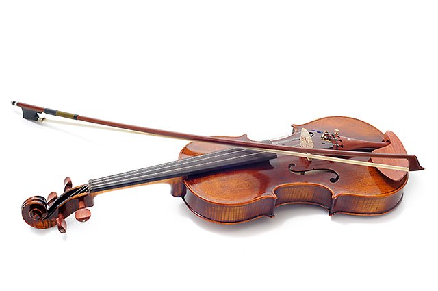 Fiol & altfiol - Malmö stad