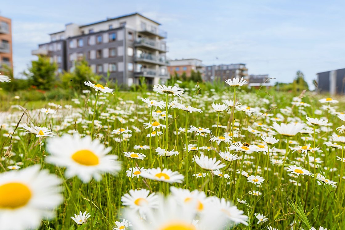 Frågor och svar - Planprogram för Klagshamn - Malmö stad