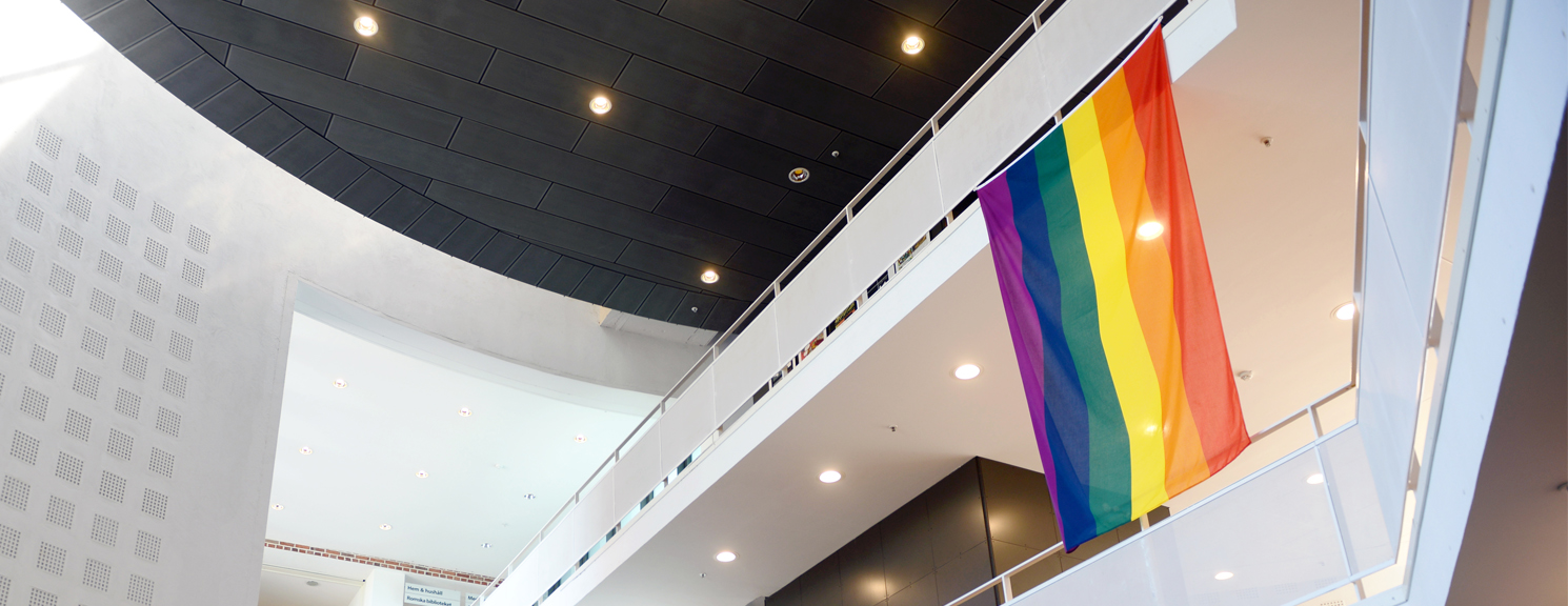 Nu öppnar Queer-ish – en ny plats för unga på Malmös bibliotek - Malmö stad