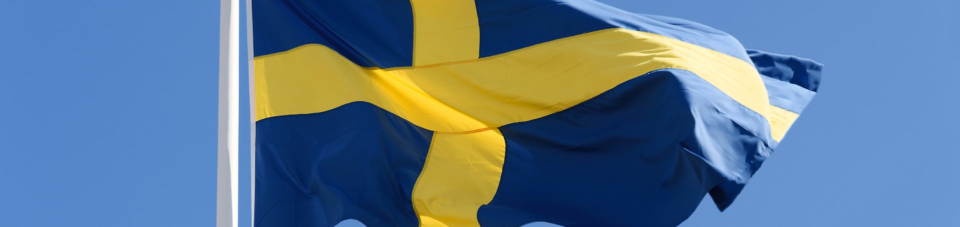 Sveriges nationaldag - Malmö stad