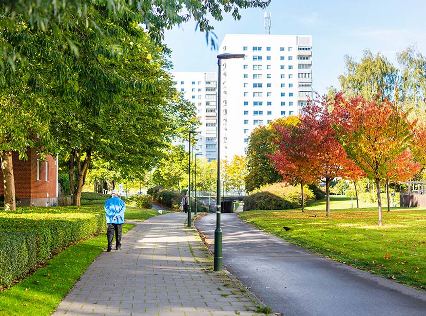 Grönska för alla med modellen 3-30-300 - Malmö stad