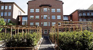 Öppet hus på Malmö Borgarskola - Malmö stad