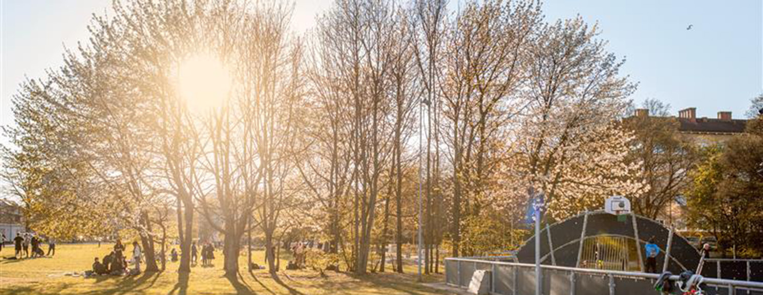 Malmö stad först i Sverige att ge ut social obligation - Malmö stad