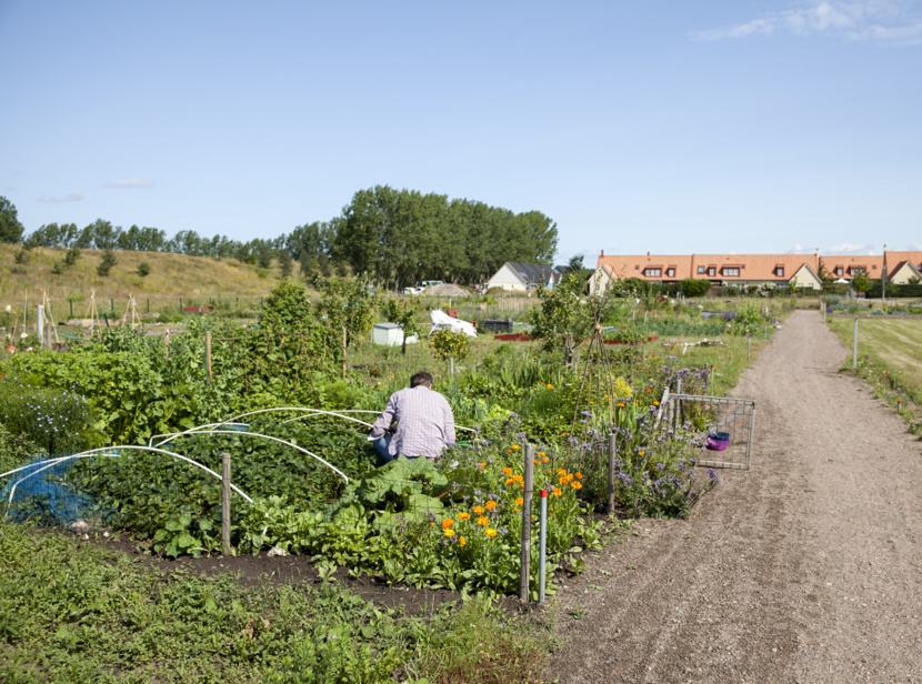 Regler för Mossagårdens odlingslotter - Malmö stad