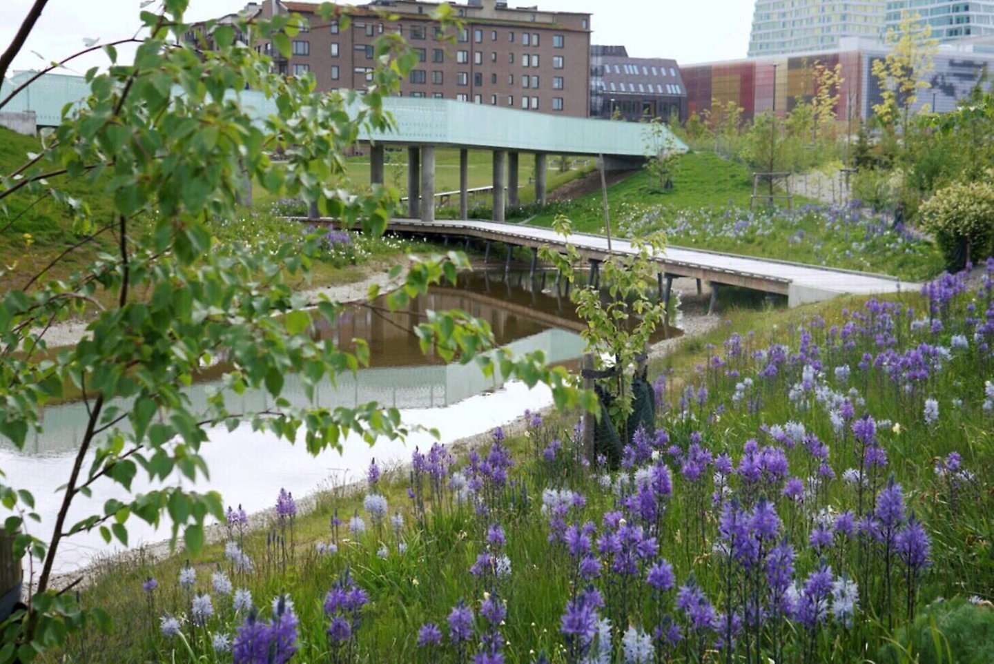 Skyfall - Malmö stad